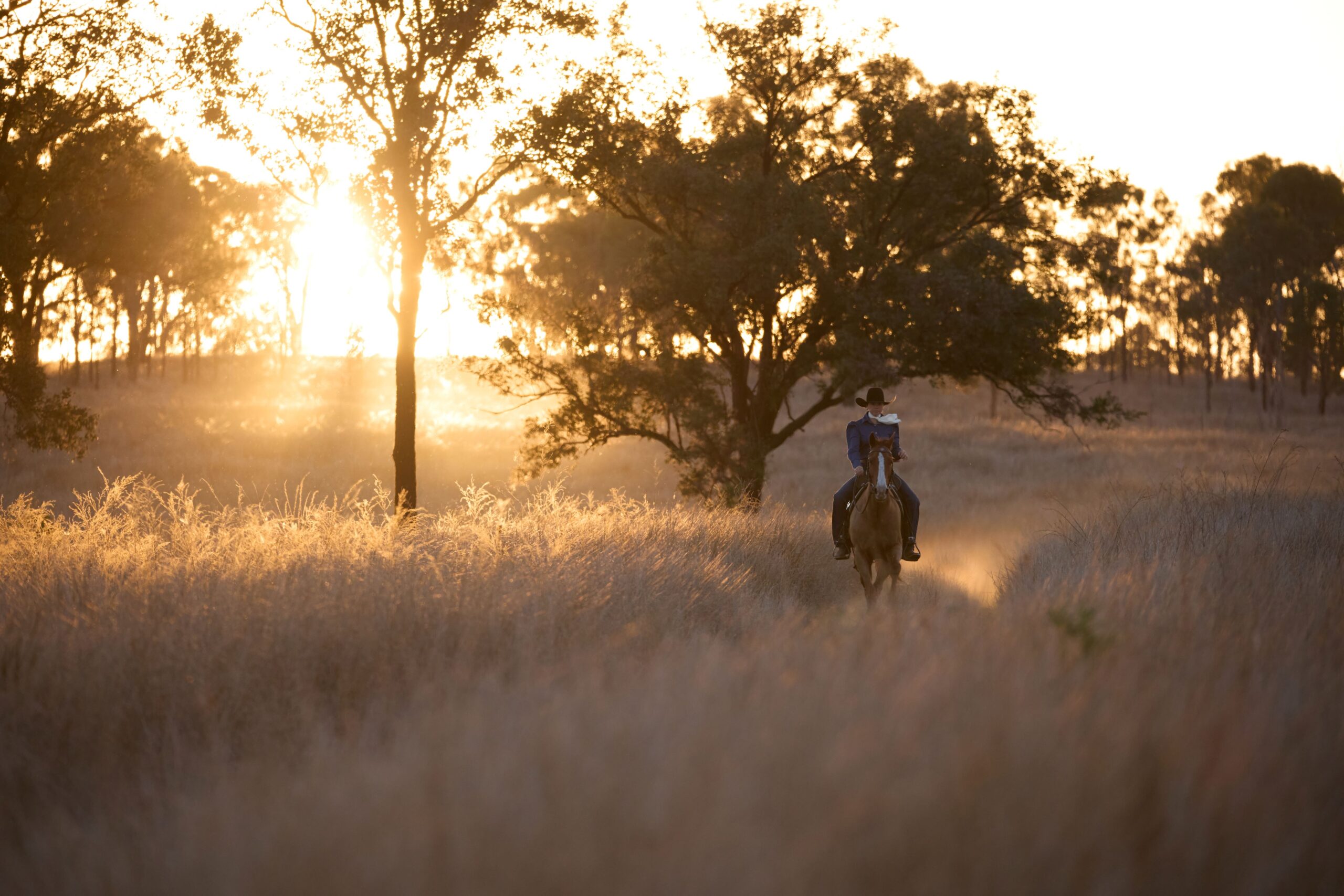 Charitable Bequests - Angel Flight Australia